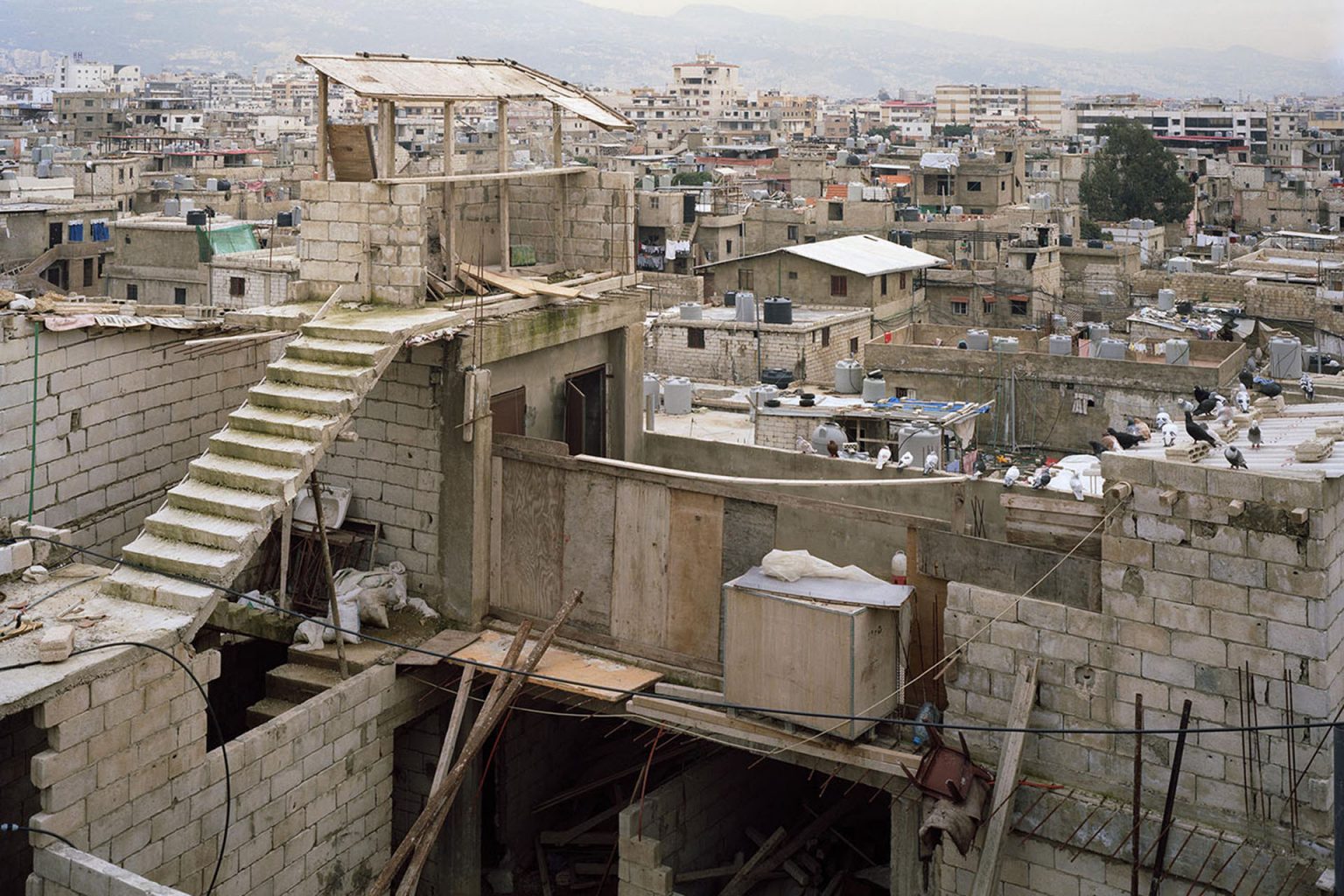 Relics of Now. Saba Innab and Armando Perna | Fondazione Merz