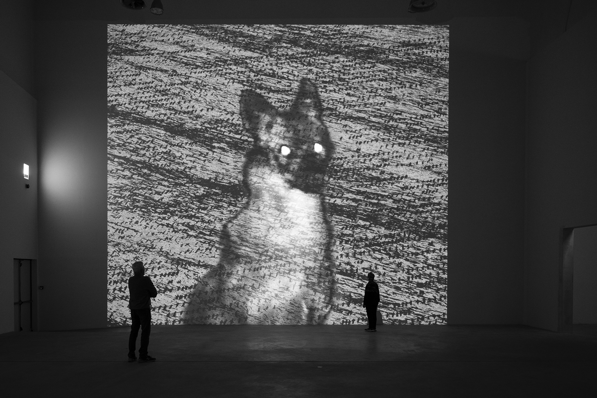 Michal Rovner. Alert | Fondazione Merz