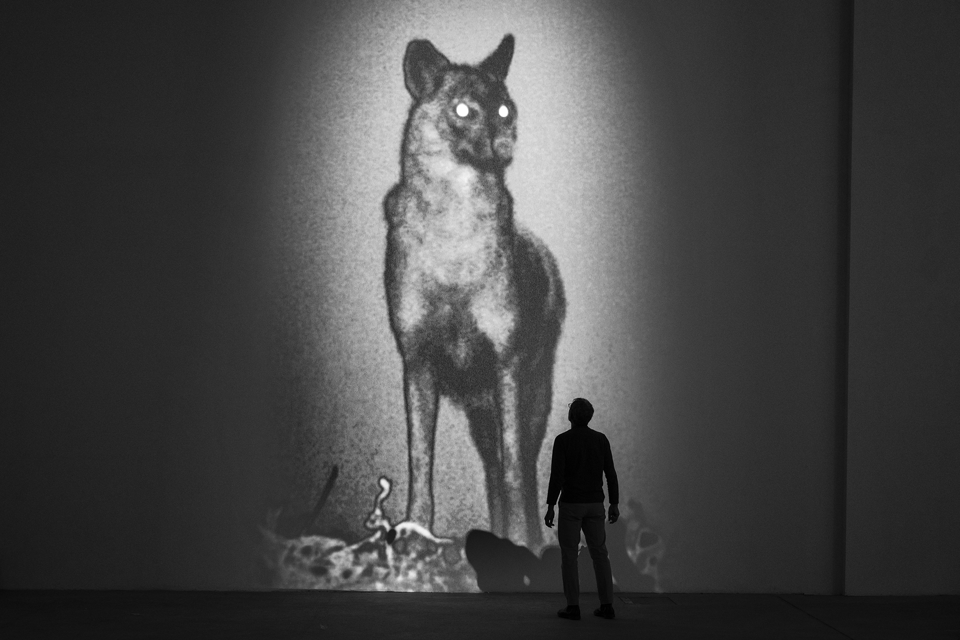 Guided tours of the Michal Rovner exhibition | Fondazione Merz