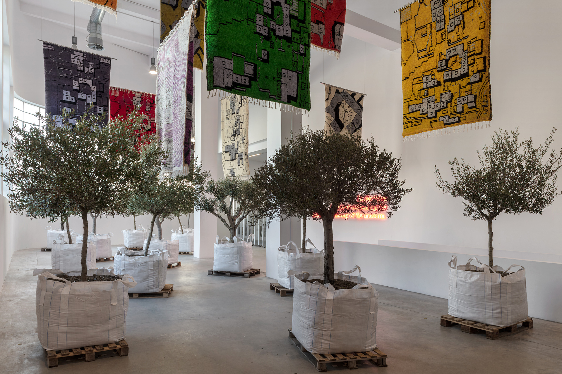 Khalil Rabah. Through the Palestinian Museum of Natural History and ...