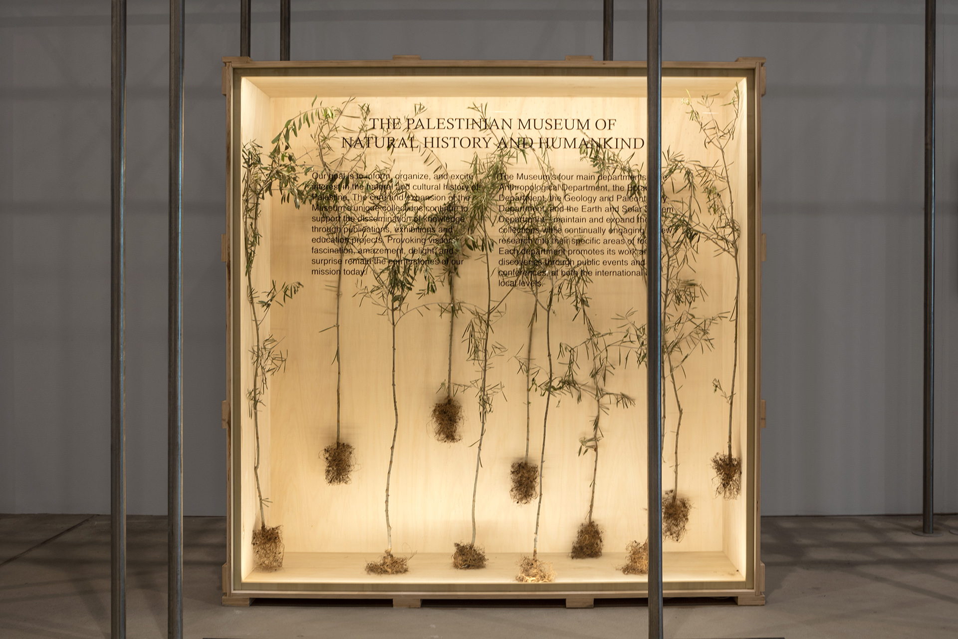 Khalil Rabah. Through the Palestinian Museum of Natural History and ...